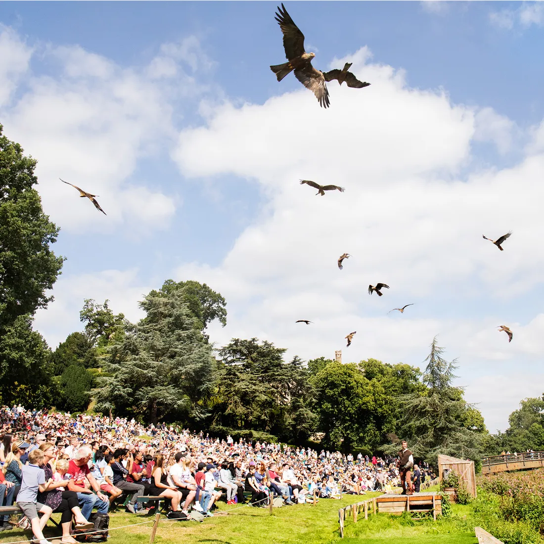 Official Warwick Castle website: Best Price Guaranteed